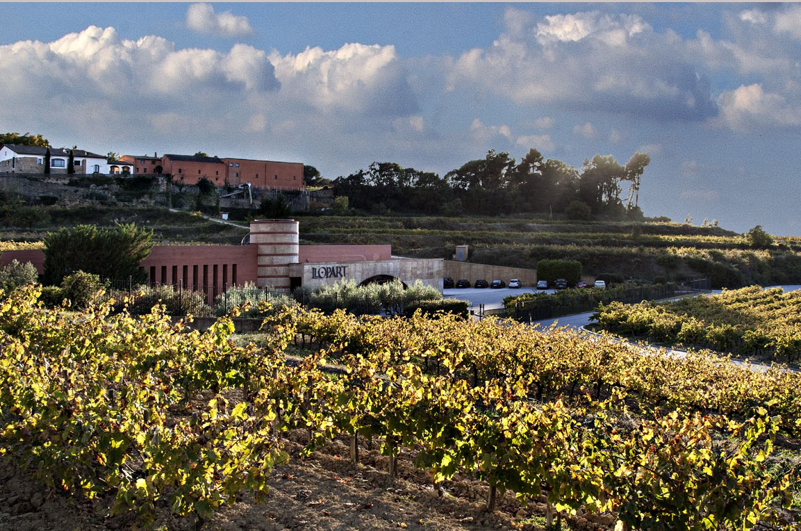 Llopart, des de 1887 fent els millors vins per al món